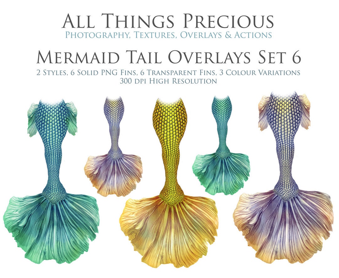 12 OVERLAYS PNG Digital MERMAID Tail Clipart Set 6 Photo - Etsy
