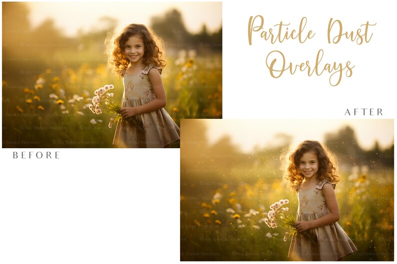 90 Photography OVERLAYS, PARTICLE DUST for Photo Editing, Photoshop ...