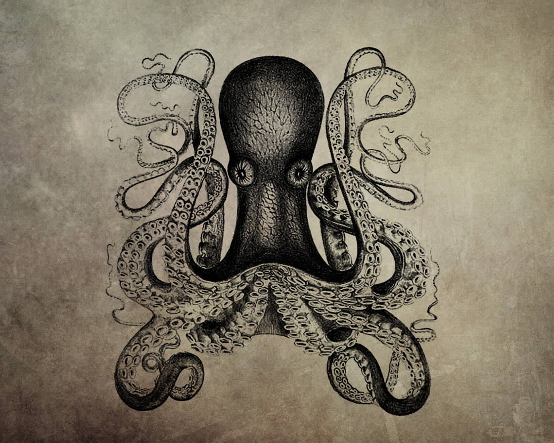 15 High Res Fine Art PNG Vintage OCTOPUS Clipart / Photography - Etsy