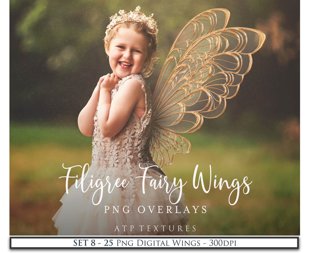 25 Png Overlays FILIGREE FAERY WINGS Set 8 / Photo Overlay - Etsy