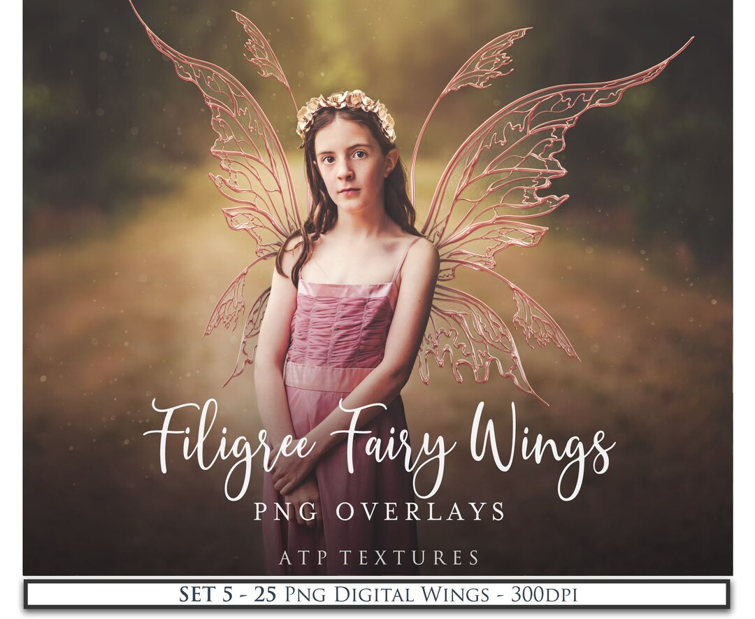 25 Png Overlays FILIGREE FAERY WINGS Set 5 / Photo Overlay - Etsy