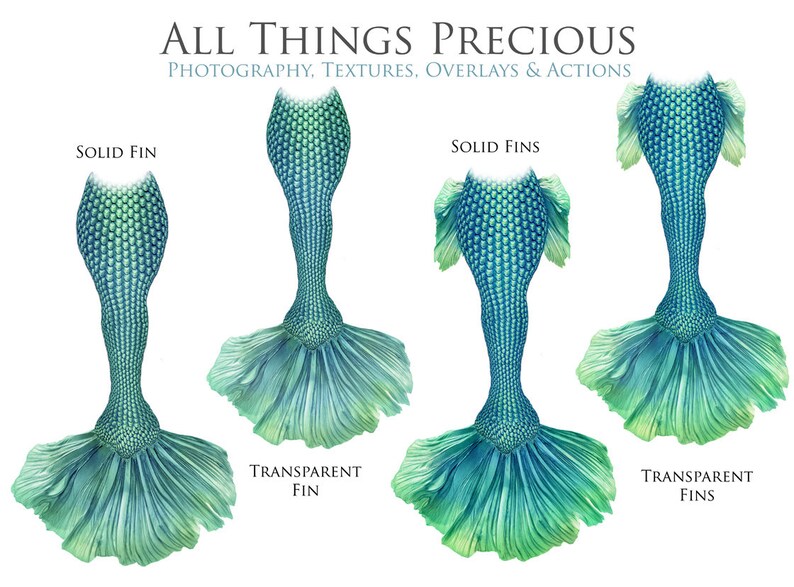 12 Overlays MERMAID Tail PNG Clipart Set 7 / Photo Overlay - Etsy