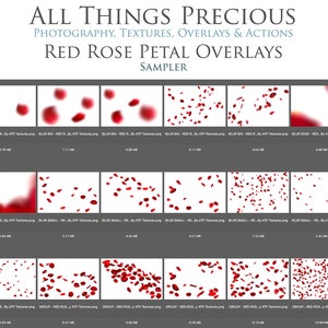 50 OVERLAYS PHOTOSHOP PNG - Red Rose Petal Clipart - Photo Overlay ...
