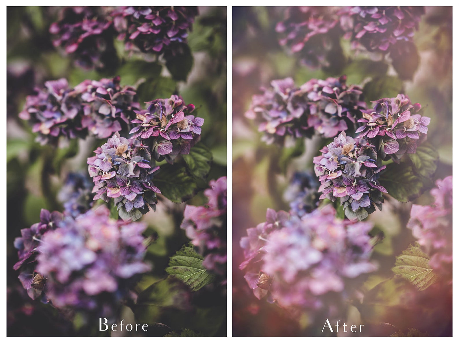 Png OVERLAYS Tint Vignette No. 5 / Photo Overlay Texture | Etsy