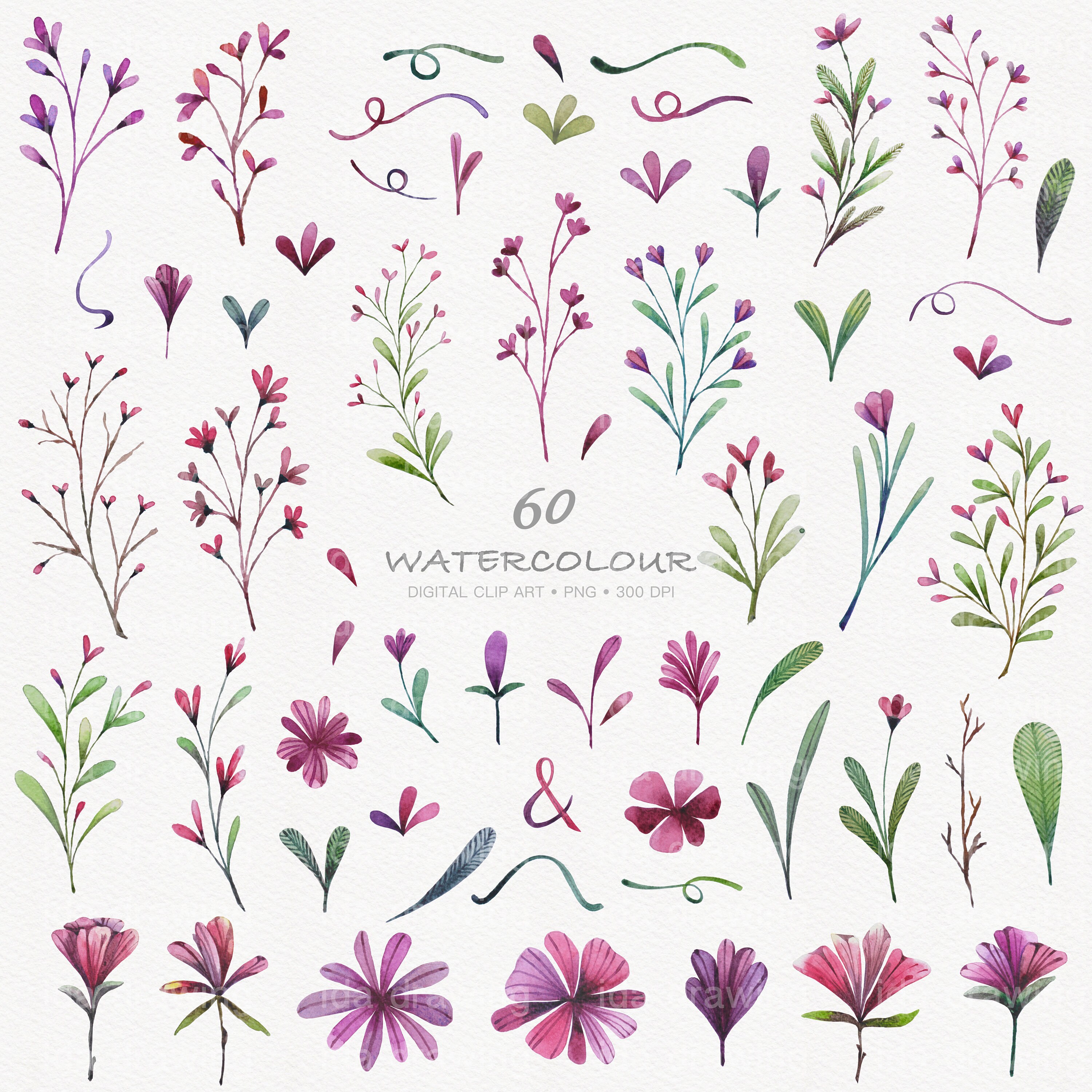 60 Watercolour Flower Digital Clip Art - Wedding - Floral Clip Art ...