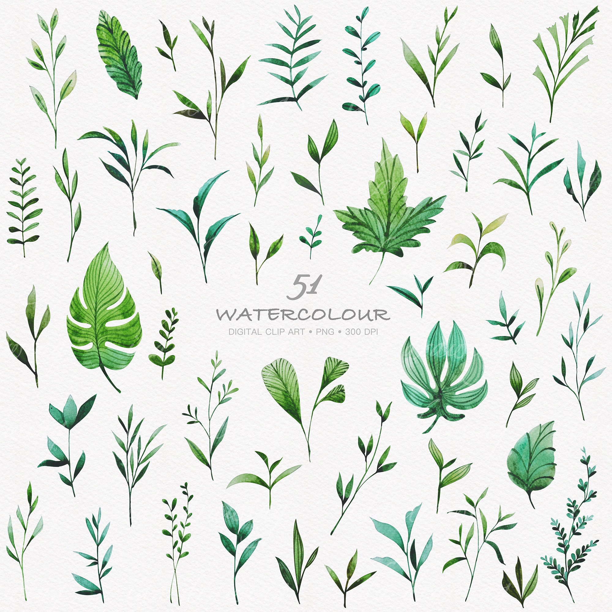 51 Watercolor Leaves Digital Clip Art - Tree Clip Art - Laurels - Leaf ...