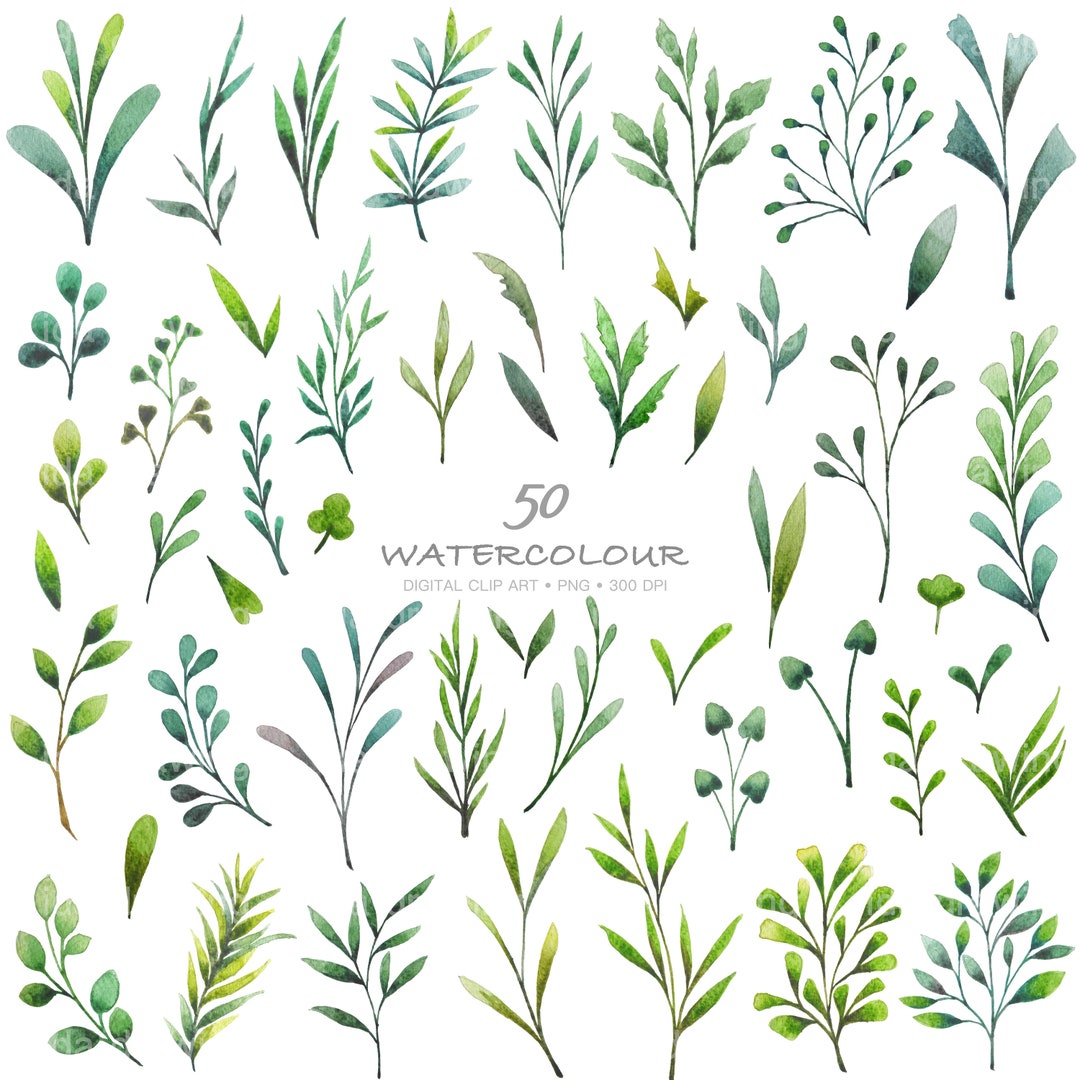 50 Watercolour Leaves Digital Clip Art - Wedding Wreaths - Laurels ...
