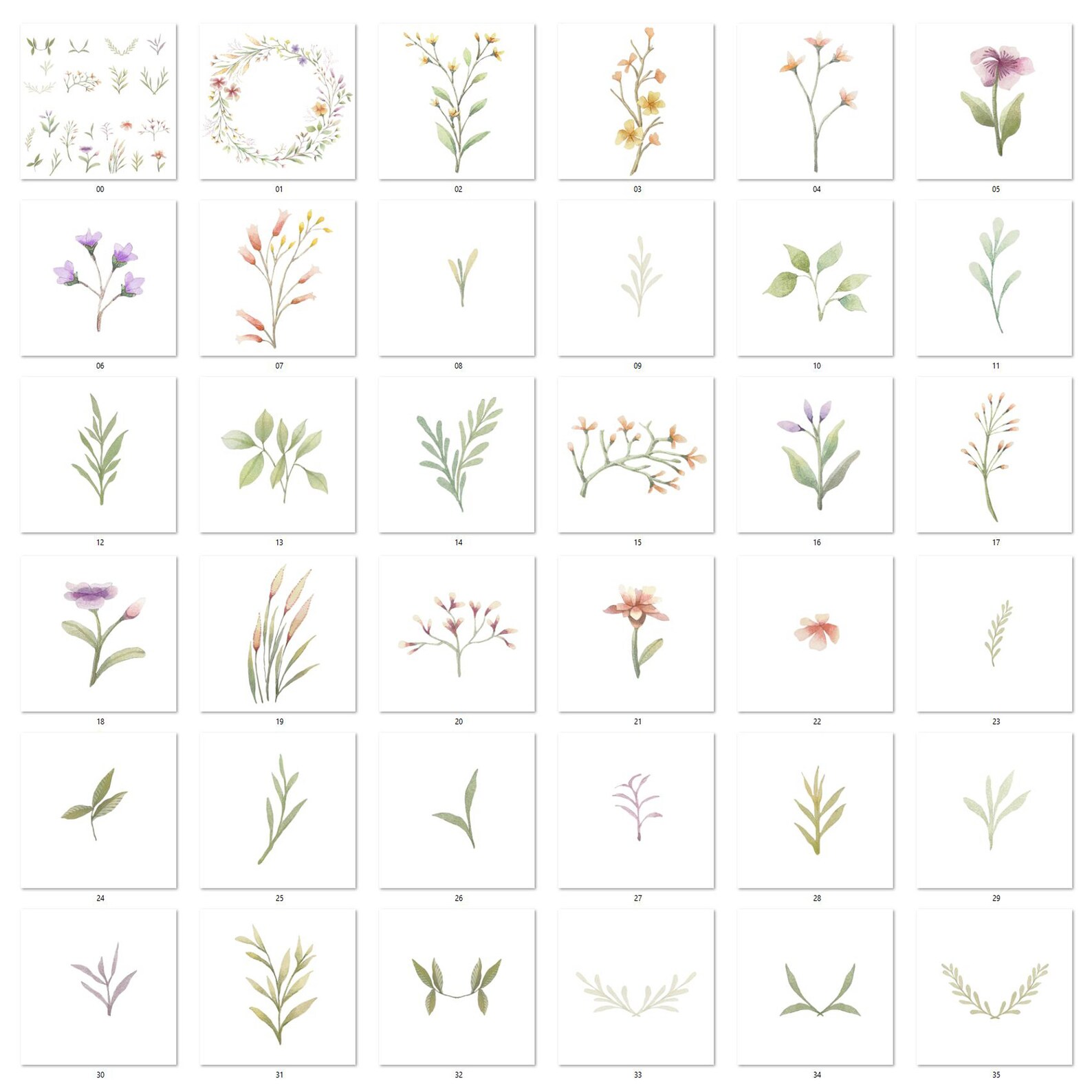 Watercolour Florals Clipart - Botanical Flowers - Wedding Wreaths ...