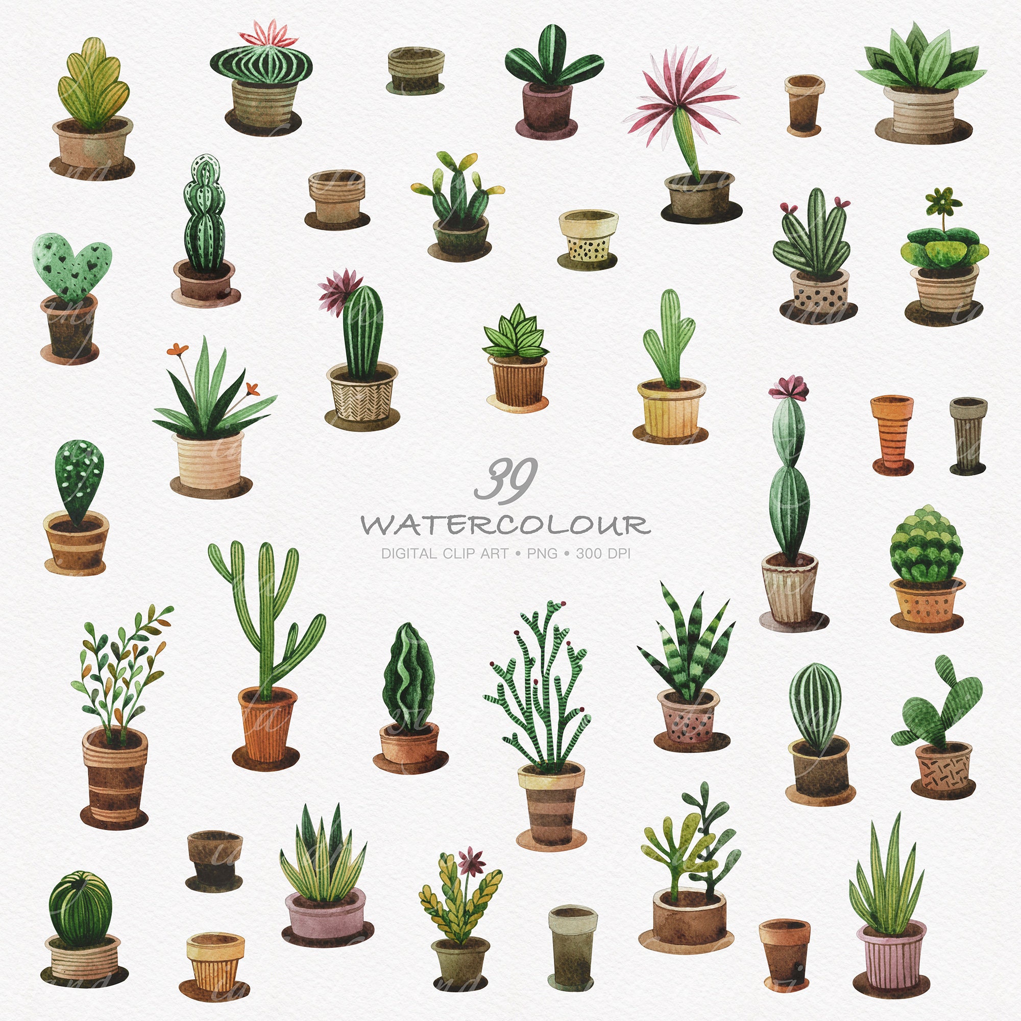 39 Watercolor Cactus Digital Clip Art Cacti Botanicals Plants Wedding ...