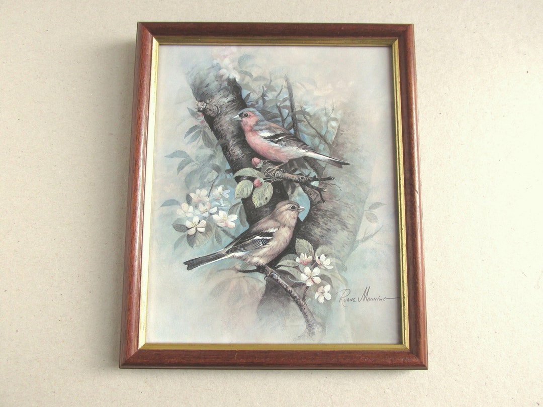 Framed Vintage Bird Art Print of Chaffinches by Ruane Manning, 8 7/8 X ...