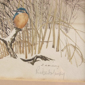 Kingfisher in Winter by Robert Manly Hand-signed Small - Etsy