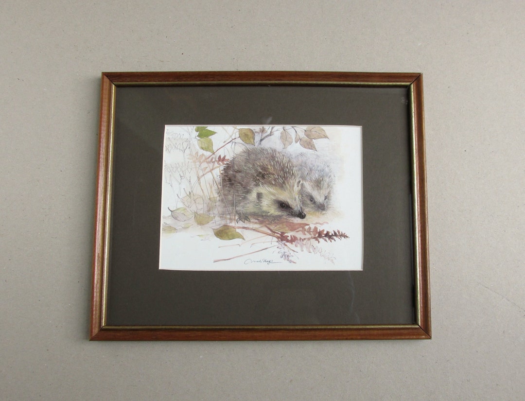 Vintage Framed Hedgehogs Art Print by Mads Stage, Small Wildlife ...