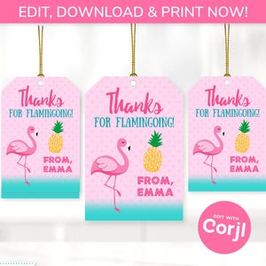 Flamingo Gift Tags - Printable Flamingo Tags - Flamingo Favor Tags ...