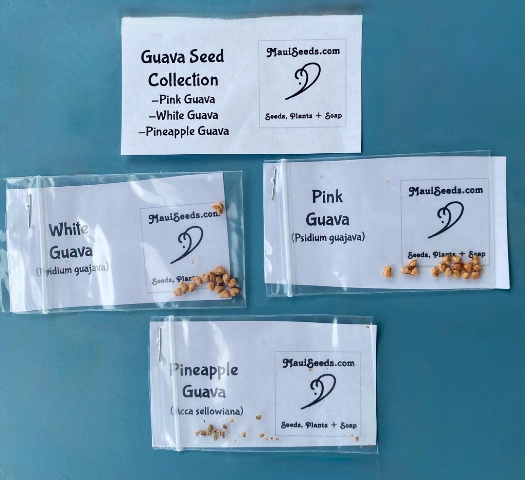Maui Guava SEED COLLECTION/3 Types of Guava Seeds/white Guava/pink ...