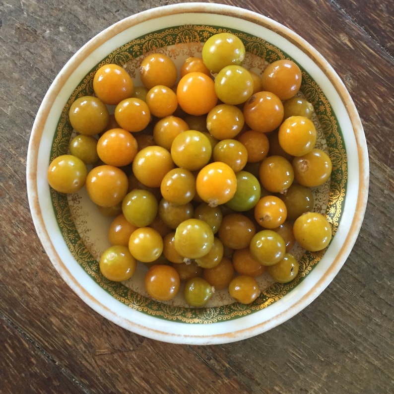 Poha Berry/Physalis peruviana/Cape Gooseberry/Maui Seeds/Fruit | Etsy