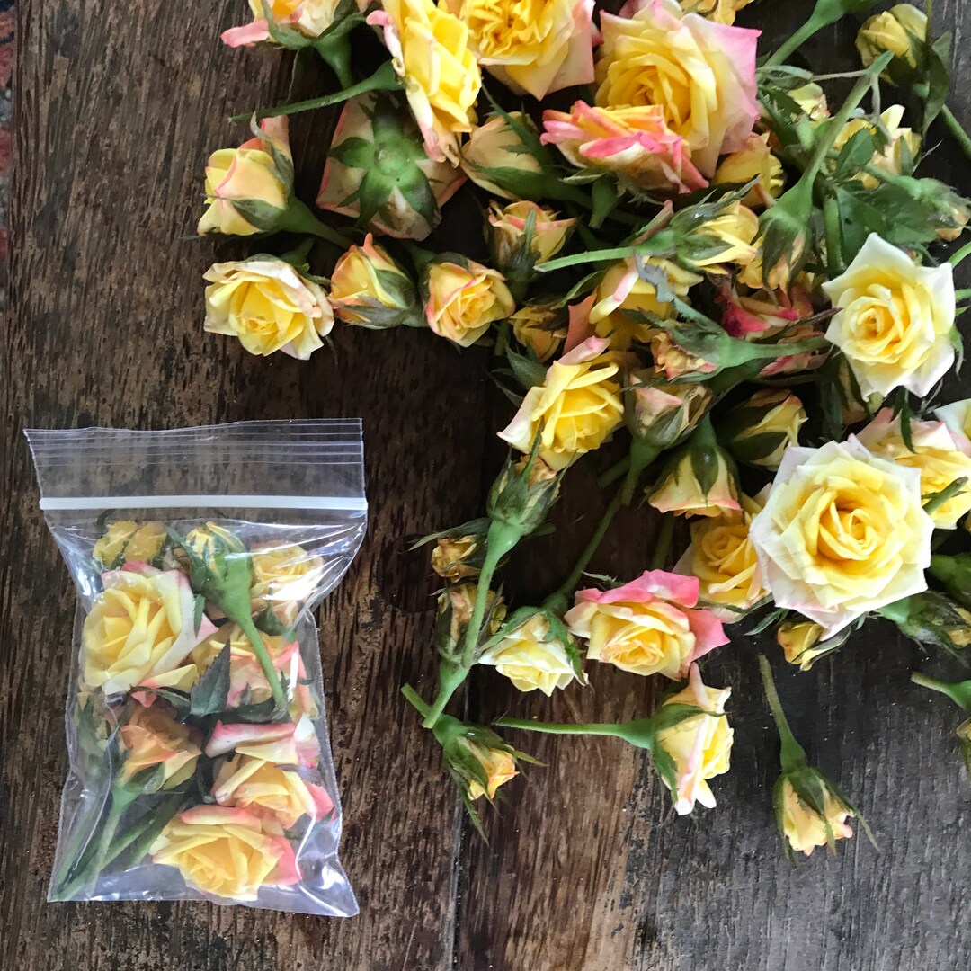 DRIED Miniature Roses/small Pack of Mini Rose Buds/dried Flowers/maui ...