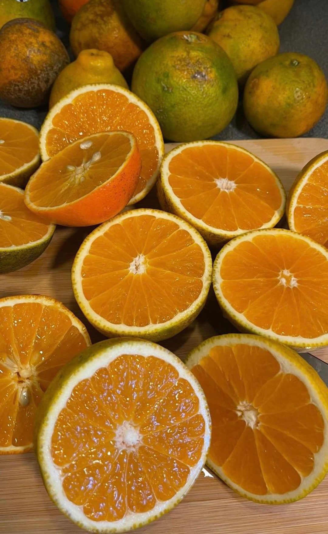 Tangelo Seeds/maui Seeds/5 Seeds/fruit Seeds/home Garden/fruit Tree ...