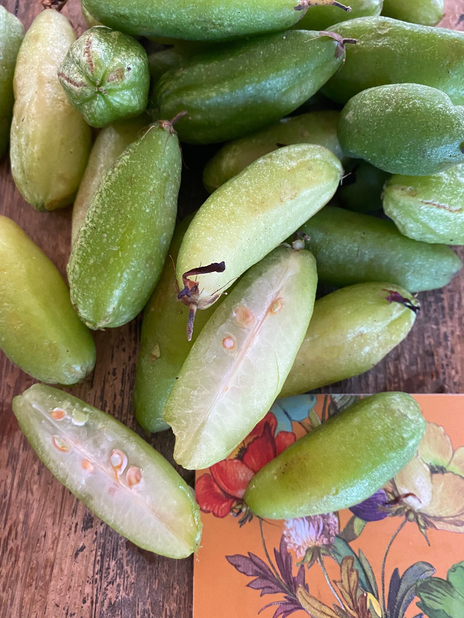 Bilimbi/Bilimbi Fruit SEEDS/Maui Seeds/Cucumber Tree/Tree | Etsy