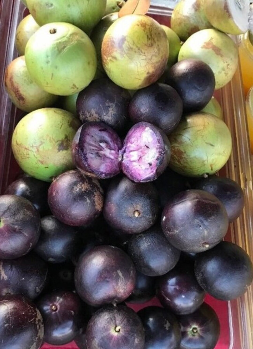 2 Types of Seeds/green Star Apple + PURPLE Star Apple/chrysophyllum ...