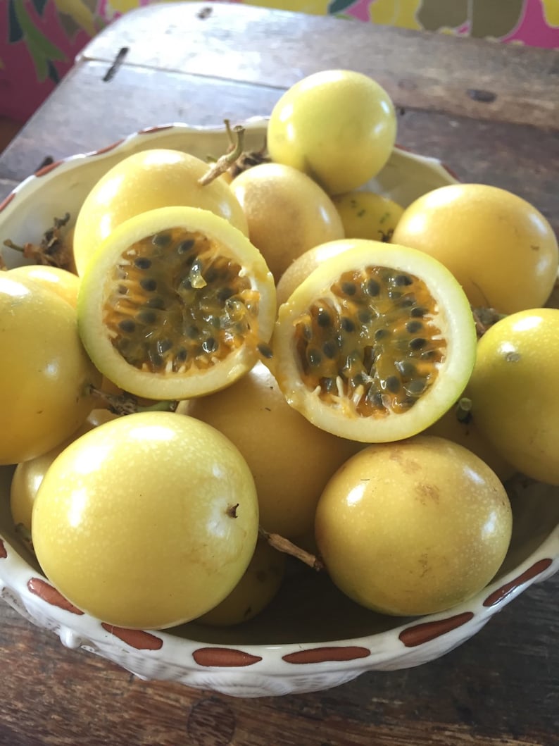 Yellow Passionfruit Seeds/lilikoi/exotic Tropical Fruit SEEDS - Etsy