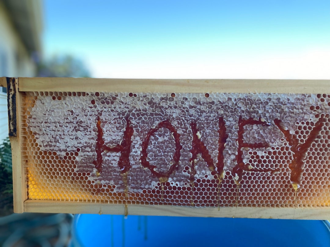 Maui Honey Soap/handmade on Maui/honey Soap/maui Soap/made in Hawaii ...
