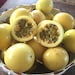SAMPLE Size/lilikoi SEEDS/3 Types/mix of Purple Lilikoi/yellow Lilikoi ...