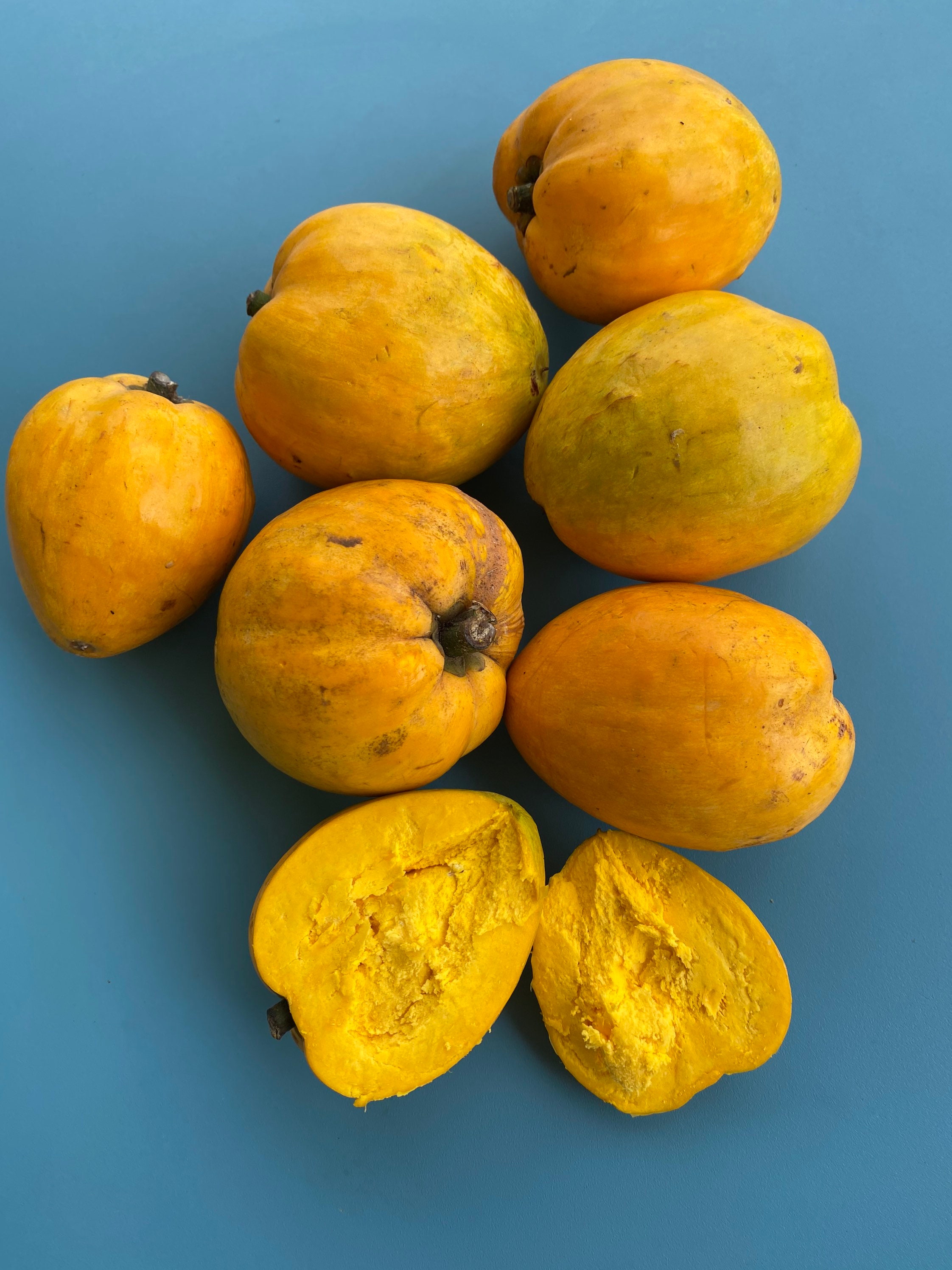 Yellow Sapote/eggfruit/pouteria Campechiana/one | Etsy