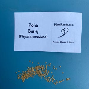 Poha Berry/physalis Peruviana/cape Gooseberry/maui Seeds/fruit Seeds ...