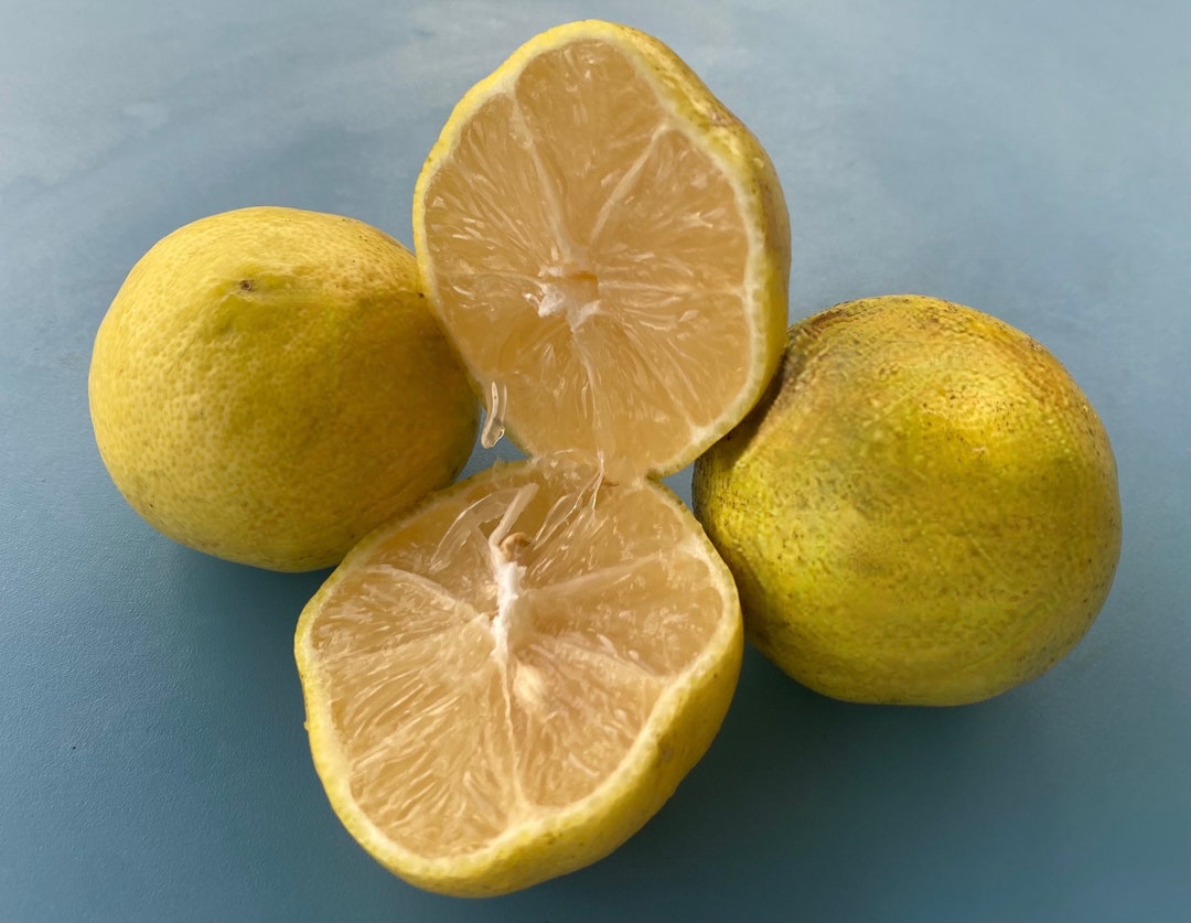 Sweet Lemon Seeds/maui Seeds/lemon Seeds//home Garden/maui Fruit Seeds ...