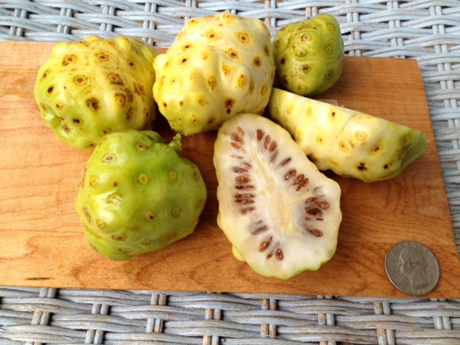 Noni SEEDS/Morinda citrifolia/Hawaiian Canoe Plant/Hawaii | Etsy