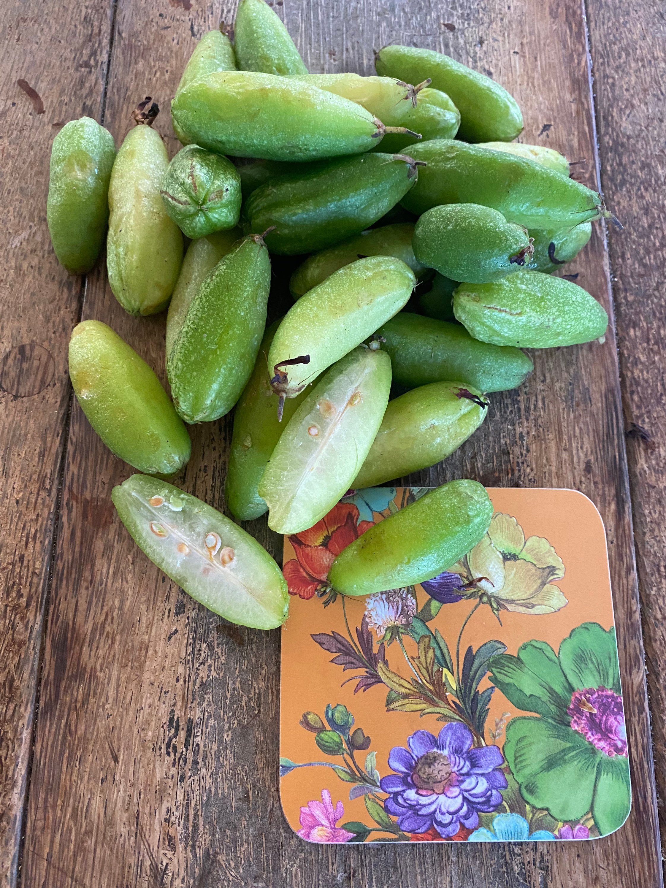 Bilimbi/Bilimbi Fruit SEEDS/Maui Seeds/Cucumber Tree/Tree | Etsy