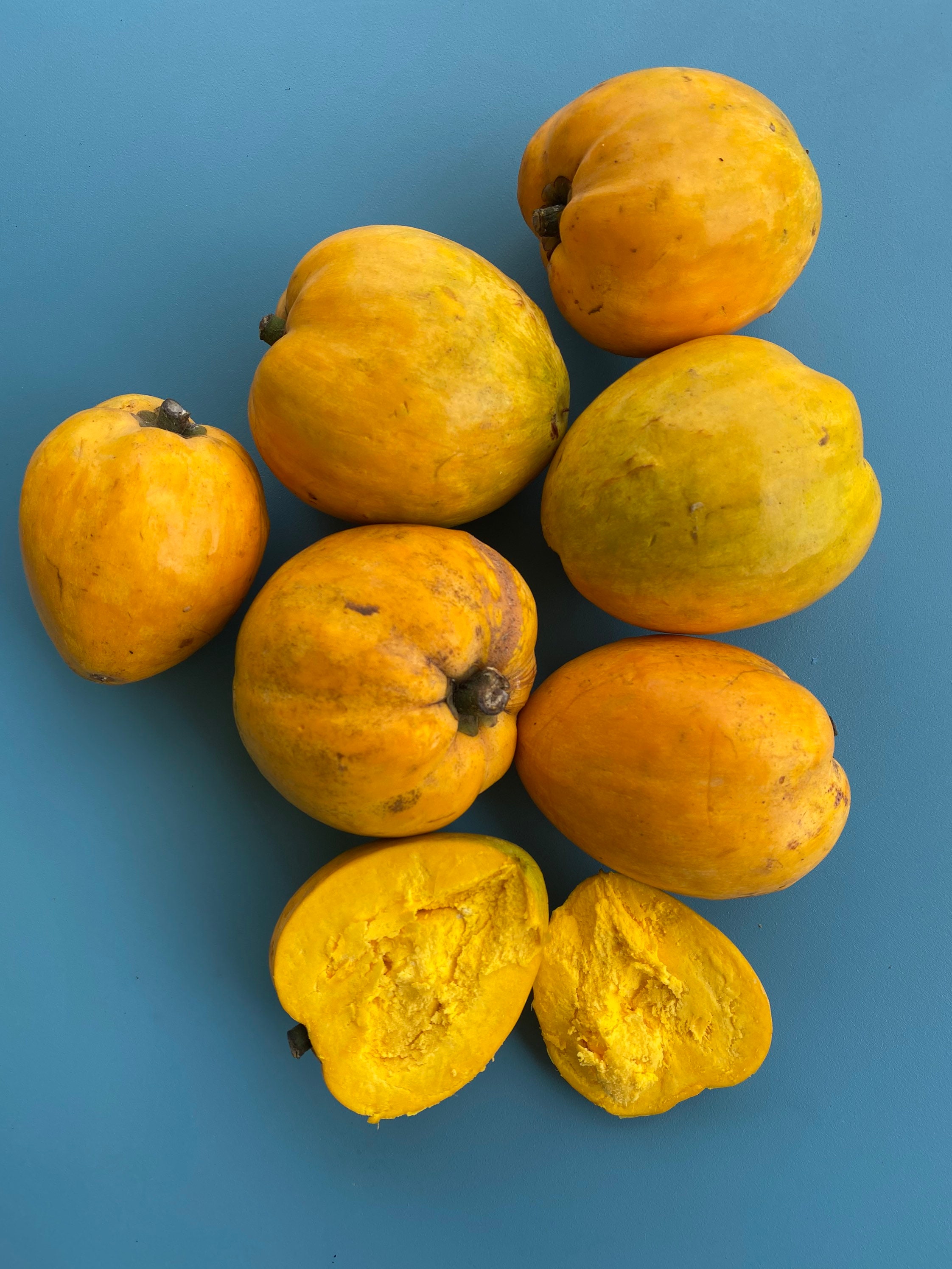Yellow Sapote Fruit