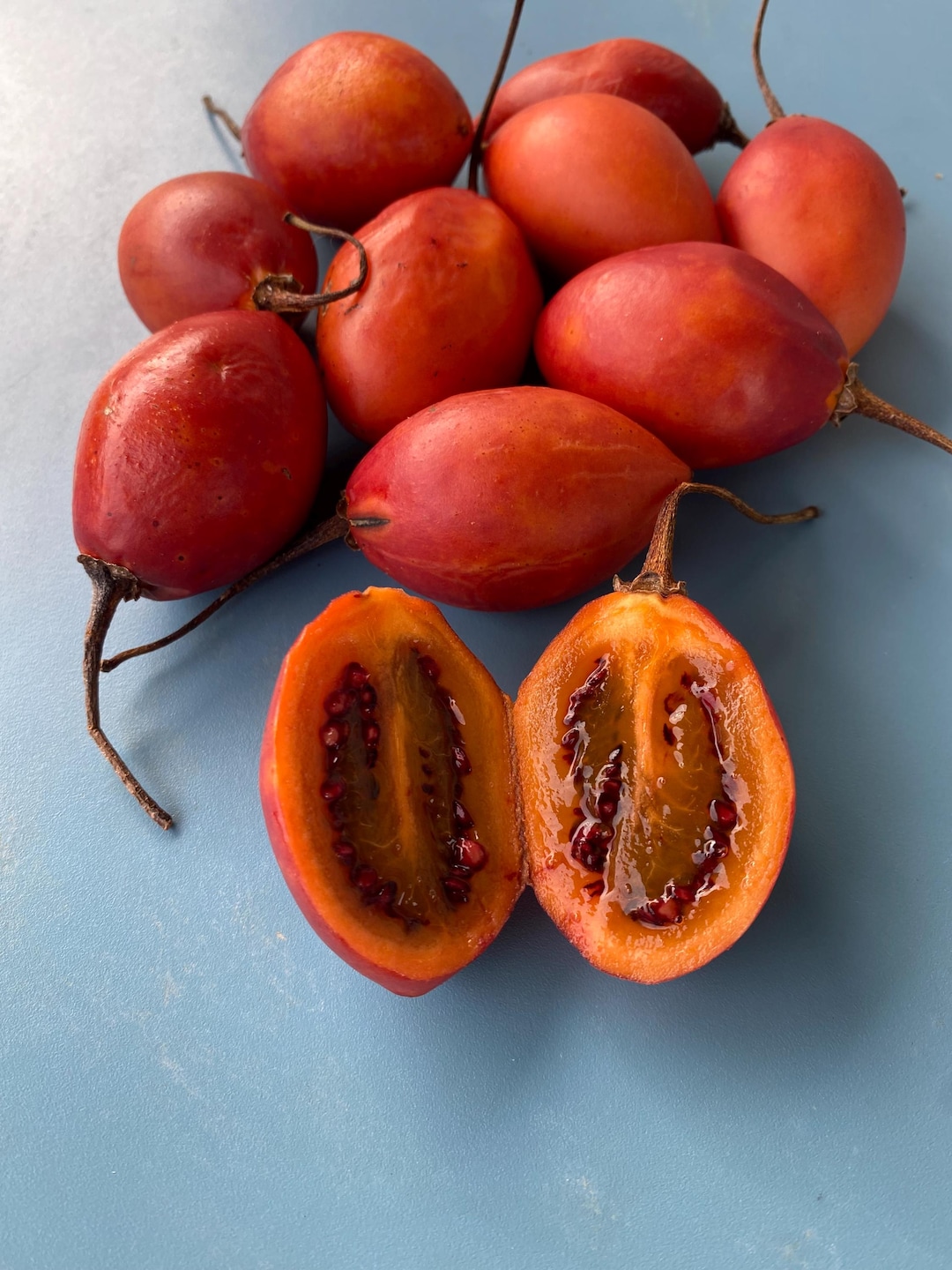 Tree Tomato/10 (TEN) Tamarillo Seeds/solanum Betaceum/maui Seeds - Etsy