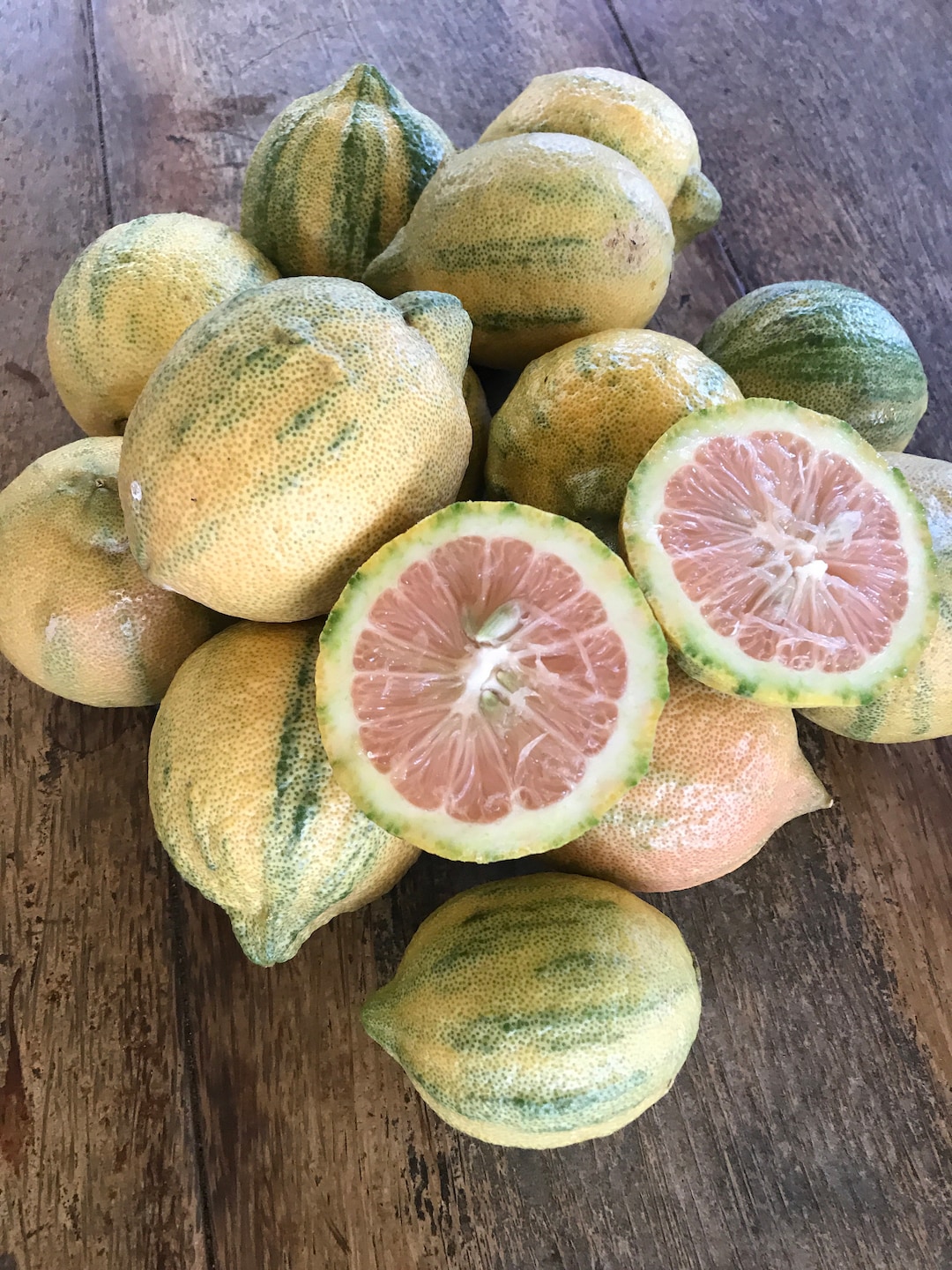 Pink Lemon/five (5) Seeds/maui Seeds/variegated Lemon/maui Seeds/hawaii ...