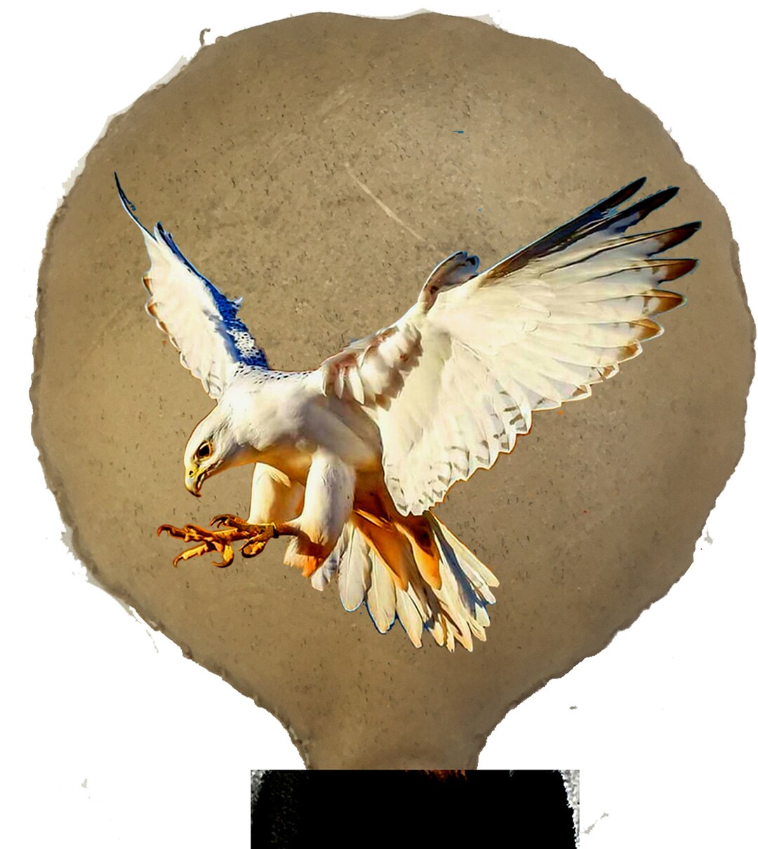 WHITE EAGLE RATTLE - Hand-crafted and Painted Two-sided Totem. Made to ...