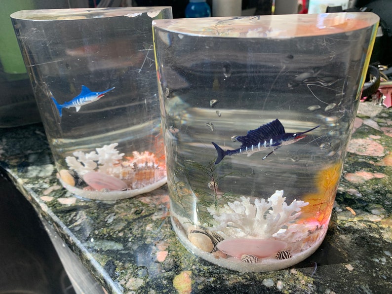 Acrylic Aquatic Clear Underwater Fish Scene Half Circle Shape Bookends ...