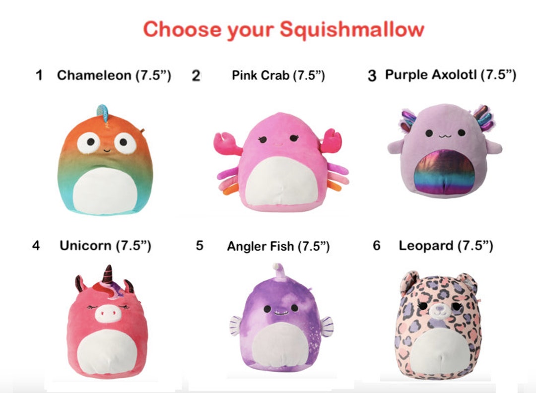 Personalized Squishmallow Plush Toy Custom Stuffed Animal - Etsy