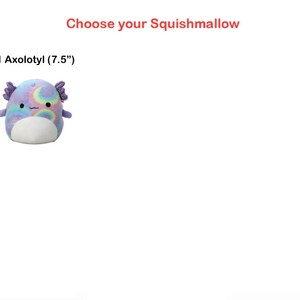 Personalized Squishmallow Plush Toy Custom Stuffed Animal - Etsy