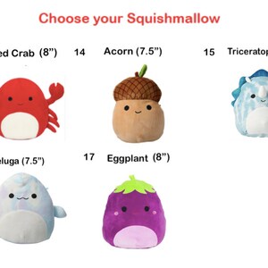 Personalized Squishmallow, Plush Toy, Custom Stuffed Animal, Birthday ...