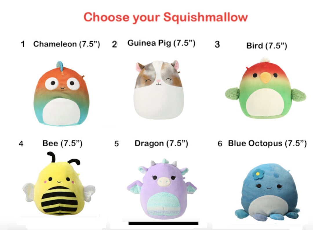 Personalized Squishmallow, Plush Toy, Custom Stuffed Animal, Birthday ...
