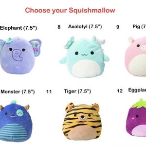 Personalized Squishmallow, Plush Toy, Custom Stuffed Animal, Birthday ...