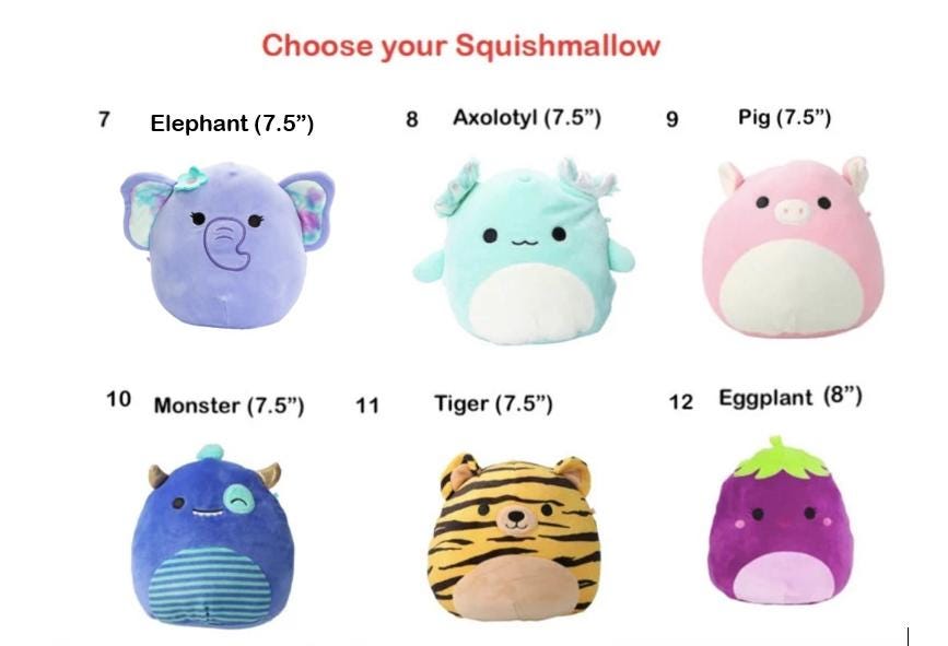 Personalized Squishmallow, Plush Toy, Custom Stuffed Animal, Birthday ...