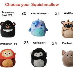 Personalized Squishmallow Plush Toy Custom Stuffed Animal | Etsy