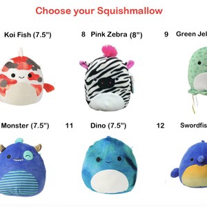Personalized Squishmallow Plush Toy Custom Stuffed Animal - Etsy