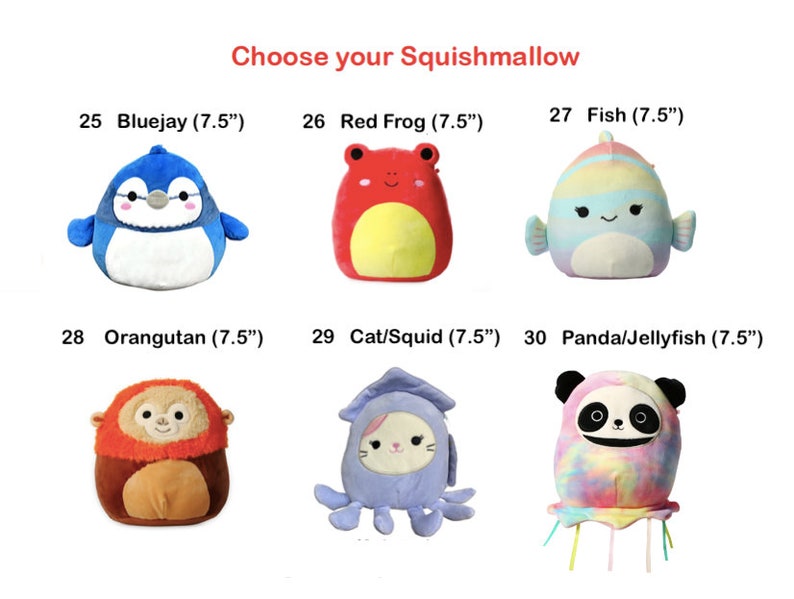 Personalized Squishmallow Plush Toy Custom Stuffed Animal - Etsy