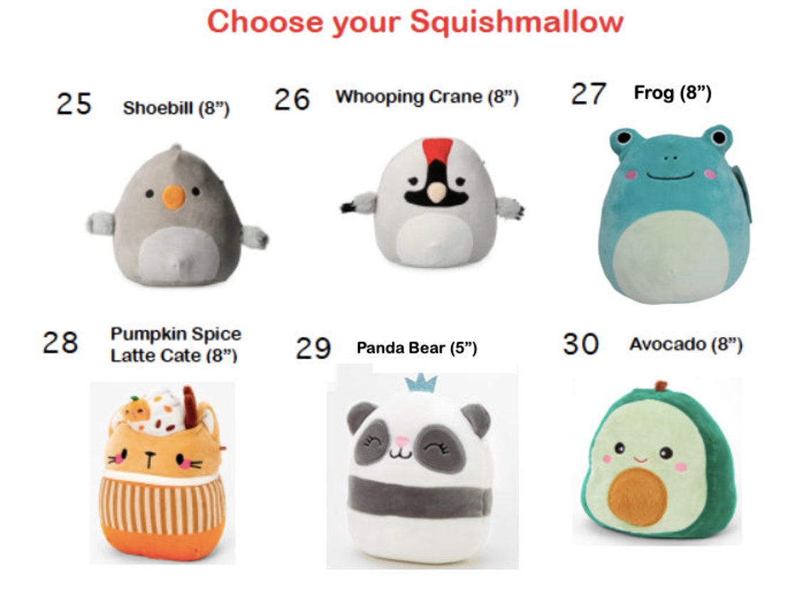 Personalized Squishmallow Plush Toy Custom Stuffed Animal | Etsy