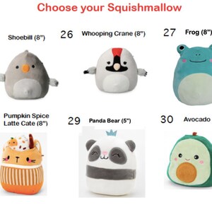 Personalized Squishmallow Plush Toy Custom Stuffed Animal | Etsy