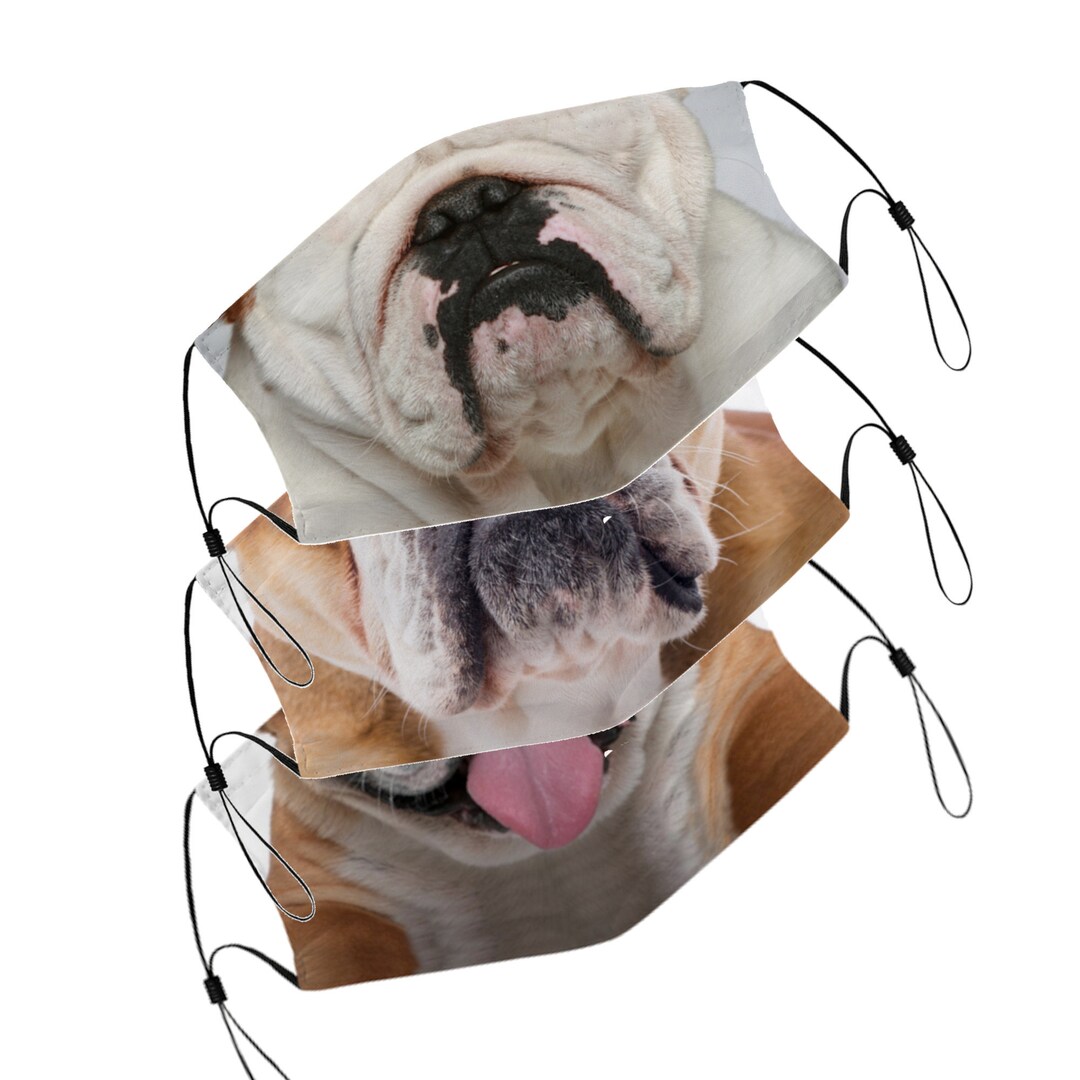 Bulldog Face Mask With Filter Pocket & Nose Wire for Adult , Washable ...