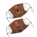 Rhodesian Ridgeback Face Mask With Filter Pocket and Nose Wire ...