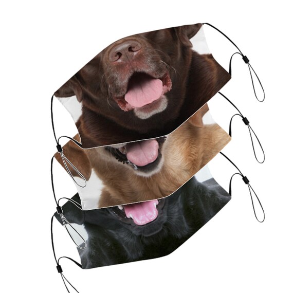Labrador Retriever Face Mask With Filter Pocket and Nose Wire - Etsy